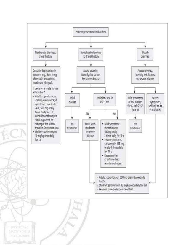 Diarrhea algorithm