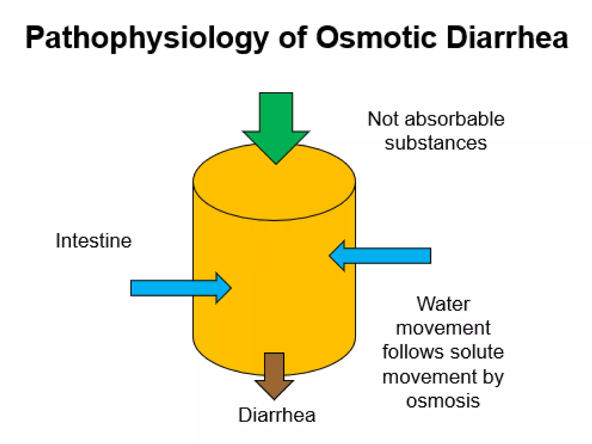 Diarrhea causes, pathophysiology management .pptx