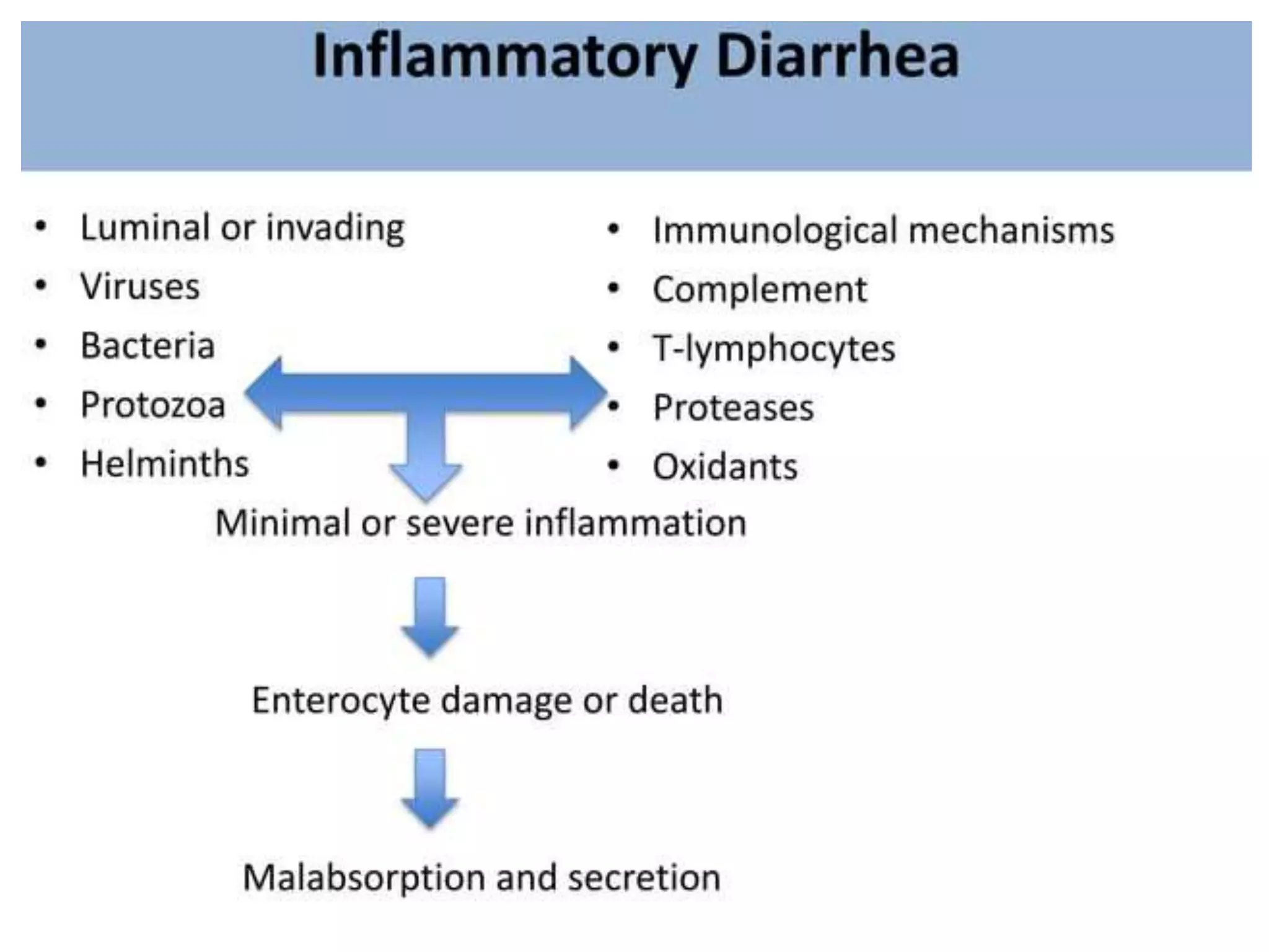 Diarrhea causes, pathophysiology management .pptx