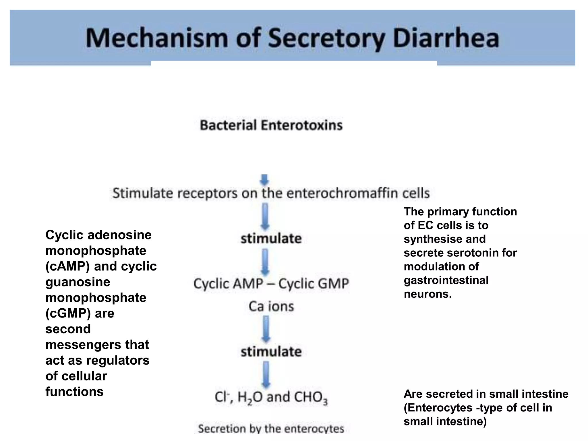 Diarrhea causes, pathophysiology management .pptx