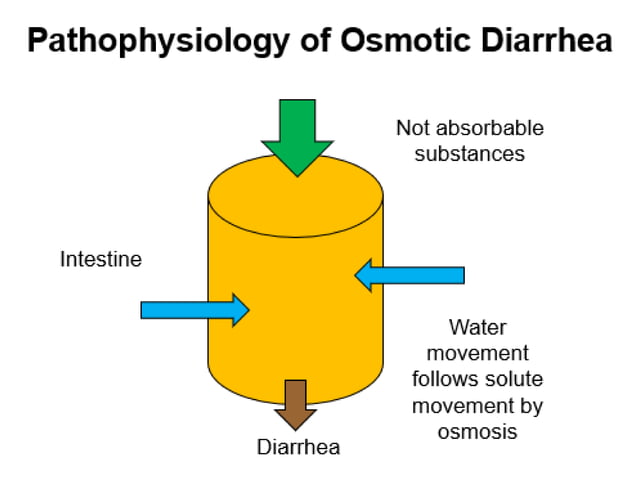 Diarrhea causes, pathophysiology management .pptx