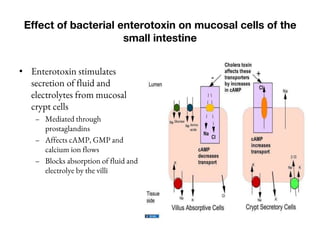 Diarrhea causes, pathophysiology management .pptx