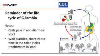 Different causes of diarrhea and dysentry | PPTX