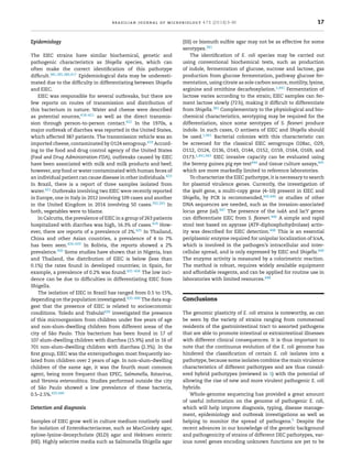 Diarrheagenic escherichia coli | PDF | Digestive Disorders | Diseases ...