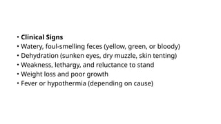 Diarrhea in Calves.pptxffffffffffffffffffffff | PPT