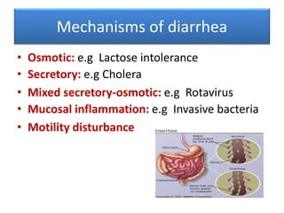 Diarrhea in children | PPTX