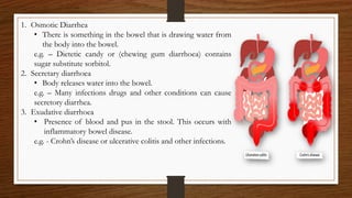 DIARRHEAL DISEASE ppt.Amit.pdf #RN #NURSING #NURSE | PPT