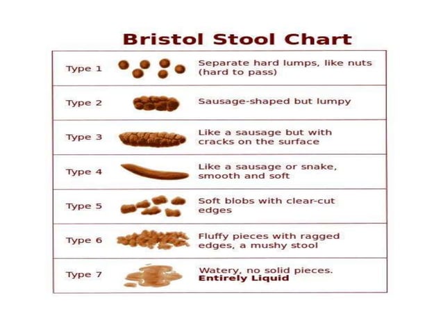 Diarrhoea | PPTX | Digestive Disorders | Diseases and Conditions