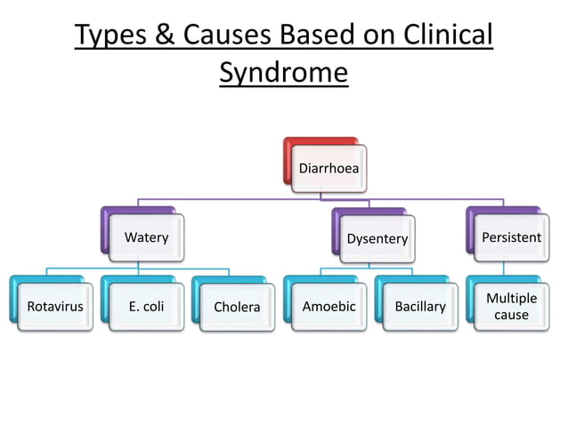 Diarrhoea | PPTX | Digestive Disorders | Diseases and Conditions