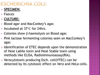 Microbiological Aspects Of Diarrhoea | PPTX