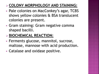 Microbiological Aspects Of Diarrhoea | PPTX