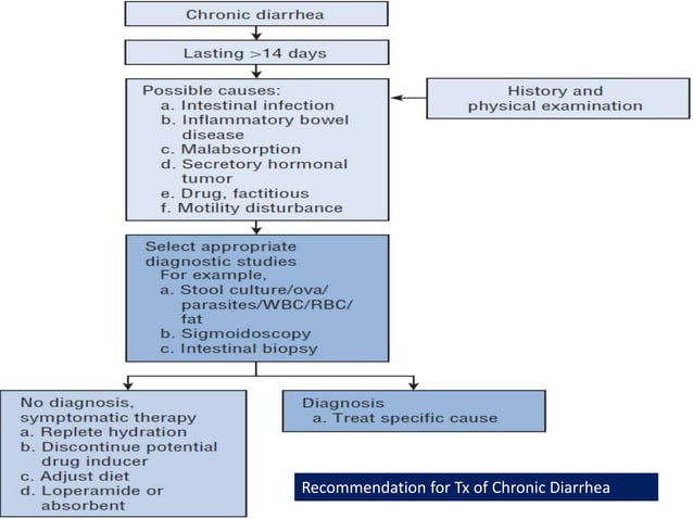 Diarrhoea | PPTX | Digestive Disorders | Diseases and Conditions