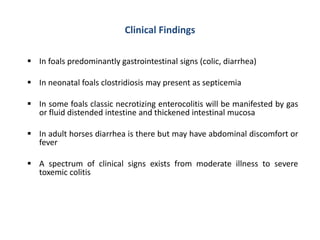 Diarrhea In horse. | PPT
