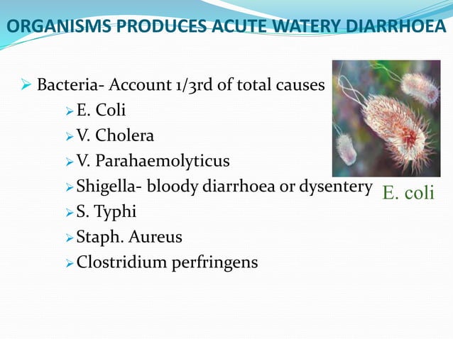 Diarrhoea prevention and control | PPTX