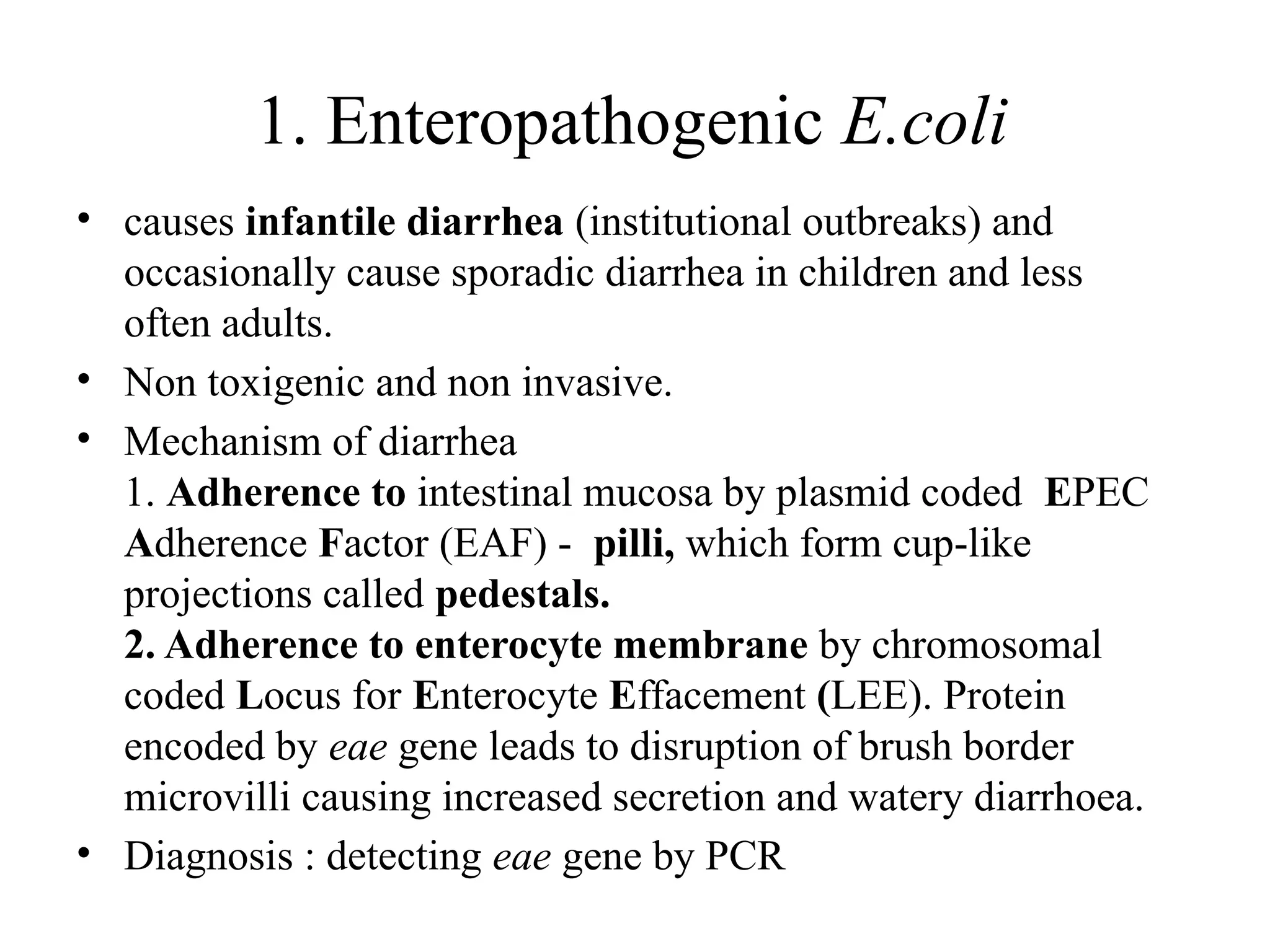 Diarrhogenic E. coli.pptx