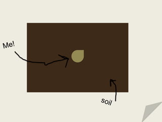 Diary of a seed | PPTX