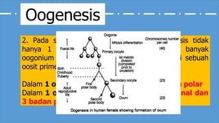 DIAS ASTARI PPT ANALSIS MATERI SISTEM REPRODUKSI MANUSIA .pptx