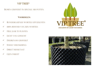VIP TREE | PPT
