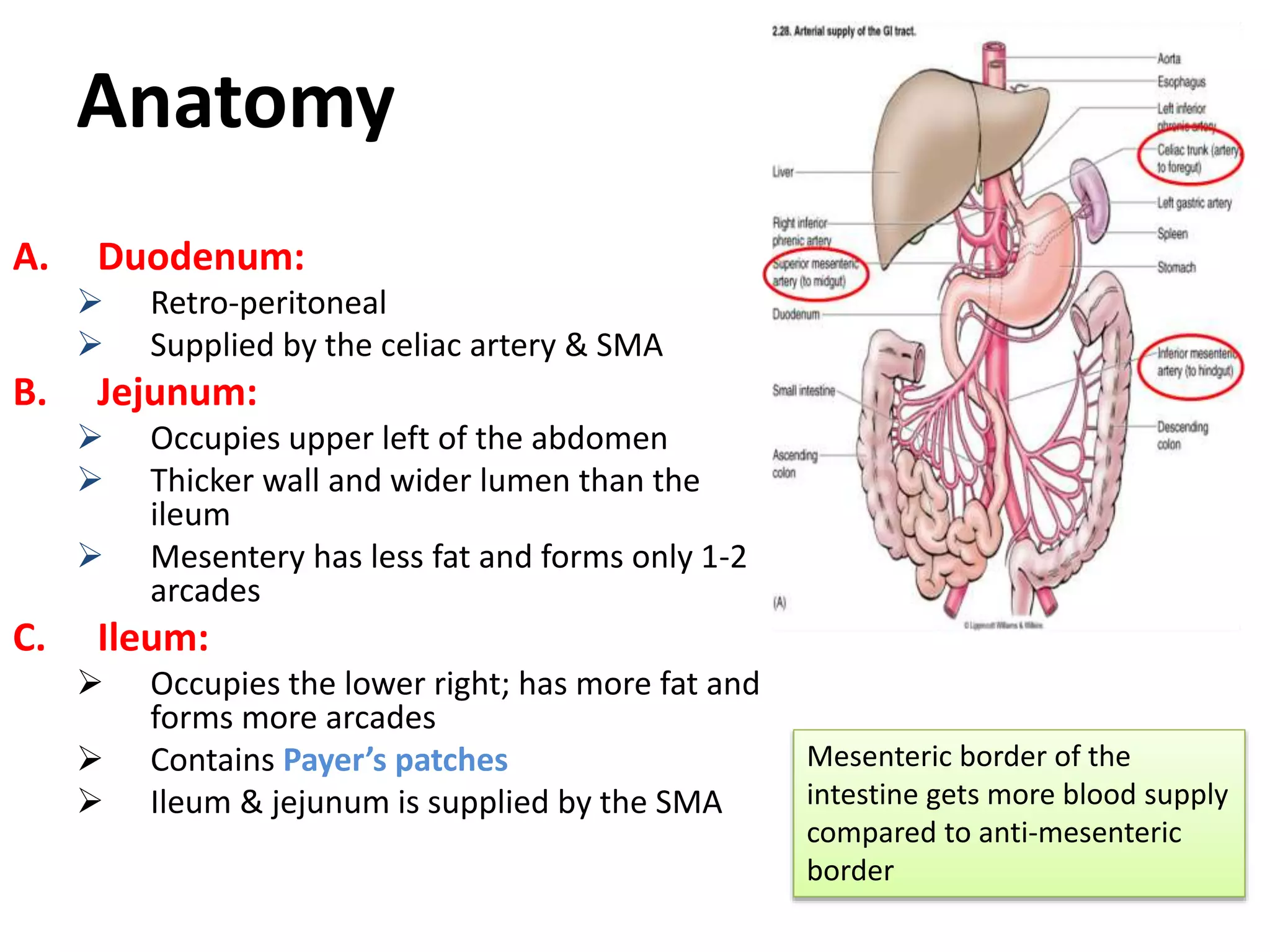 Diasease of small intestine | PPTX