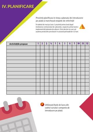 DiasporaUngaria Plan de afaceri | PDF
