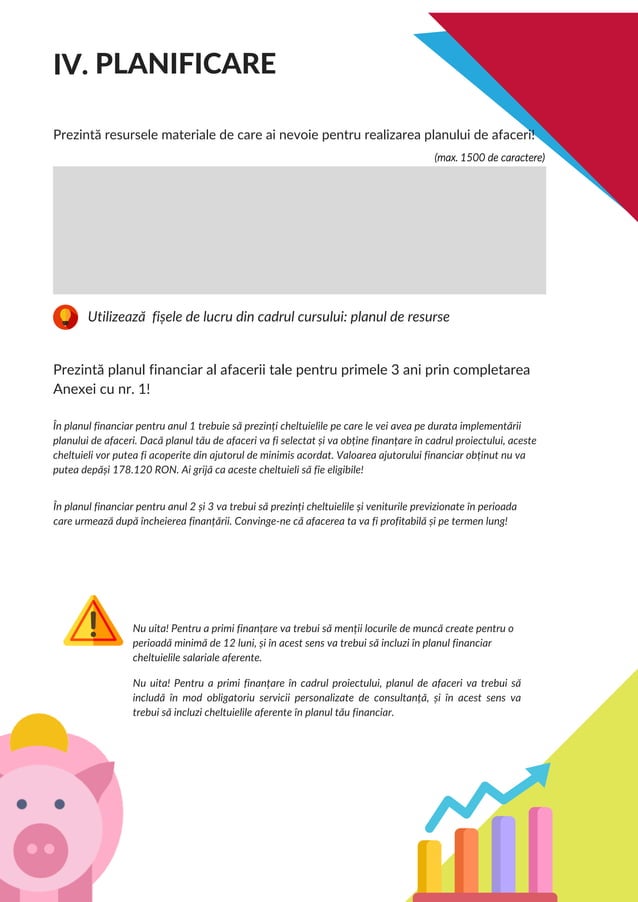 DiasporaUngaria Plan de afaceri | PDF