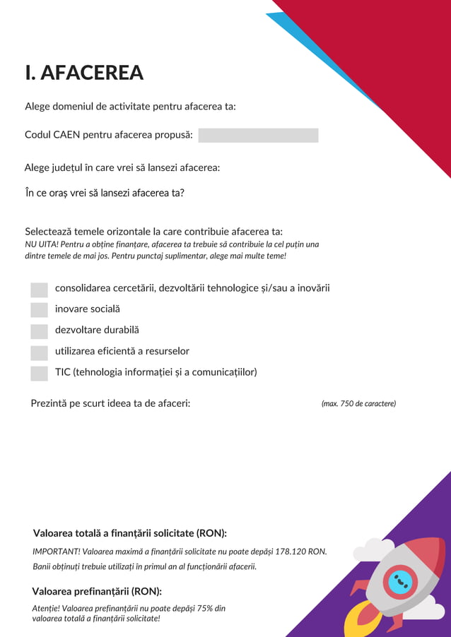 DiasporaUngaria Plan de afaceri | PDF