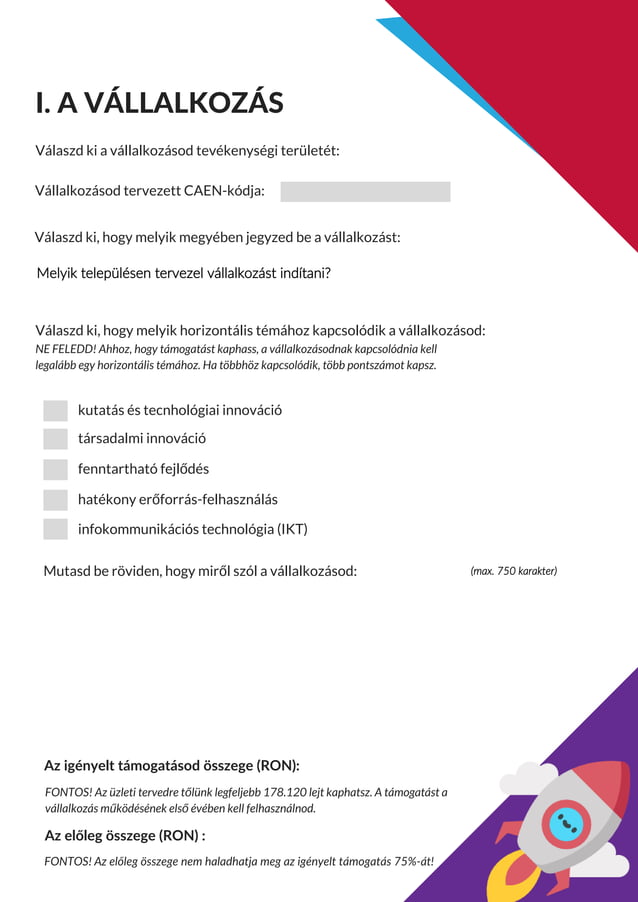 DiasporaUngaria Üzleti Terv | PDF