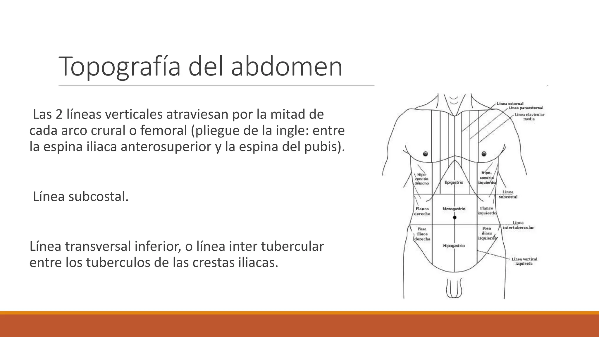 Diastasis de los rectos | PPTX