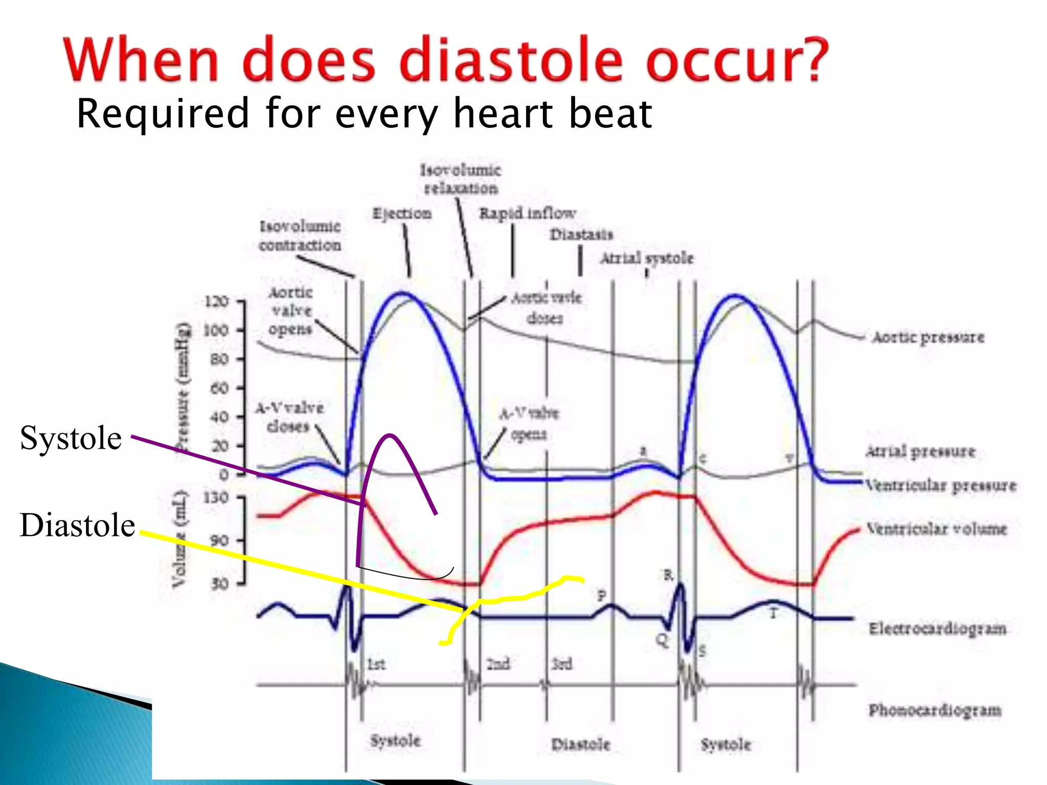 ECHOCARDIOGRAPHIC EVALUATION of LEFT VENTRICULAR DIASTOLIC FUNCTION ...