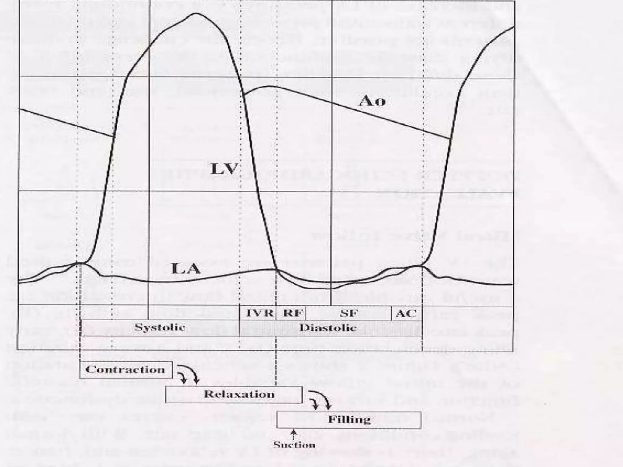 ECHOCARDIOGRAPHIC EVALUATION of LEFT VENTRICULAR DIASTOLIC FUNCTION toufiqur rahman NICVD | PPSX ...