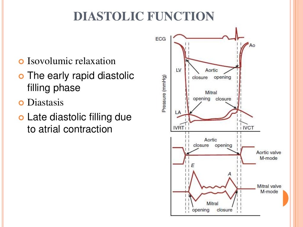 Diastolic function