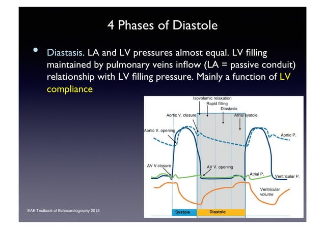 Echocardiographic Evaluation Of Lv Diastolic Function Pdf