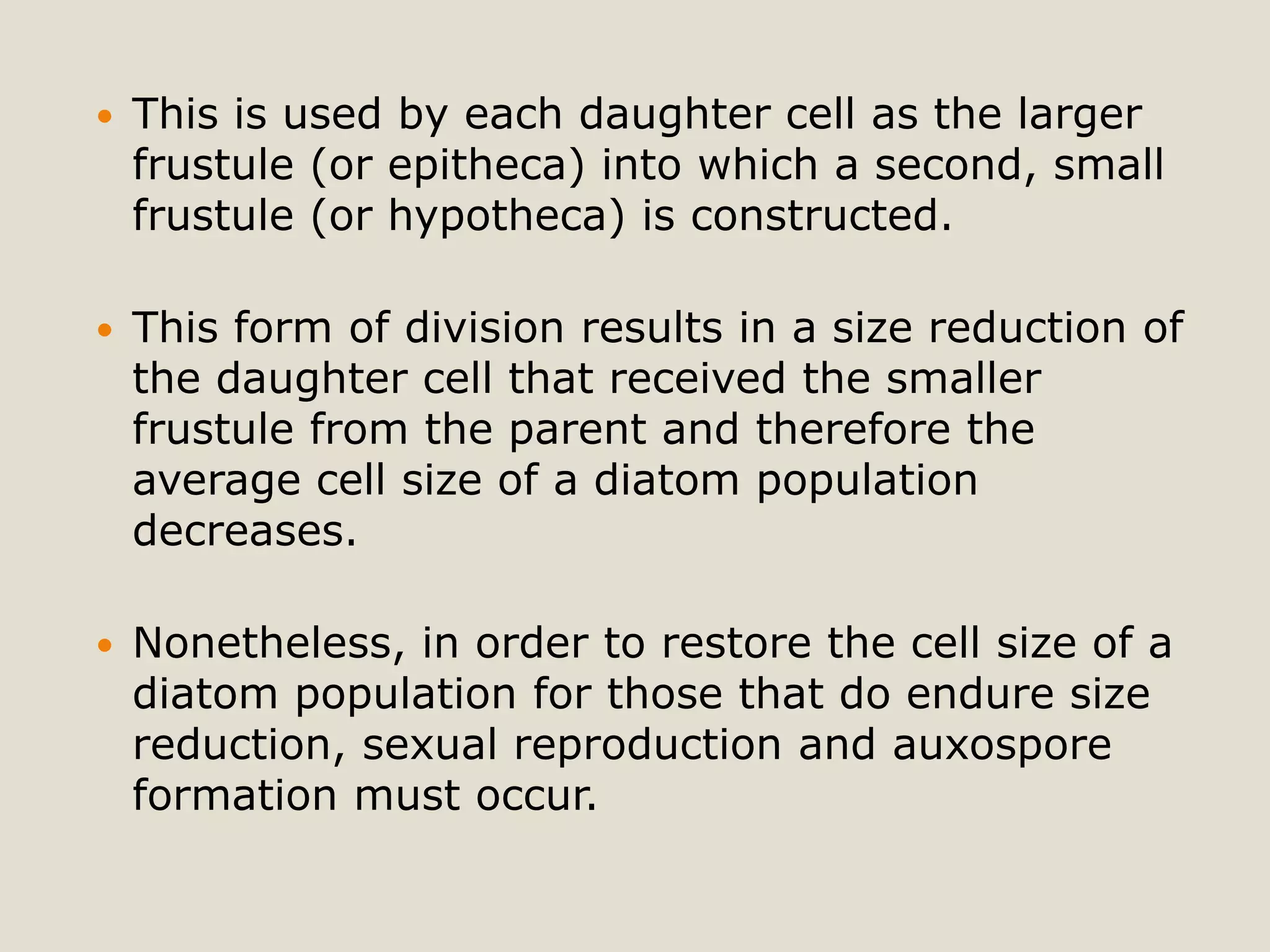 Diatom - Overview | PDF