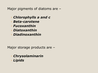 Diatom - Overview | PDF