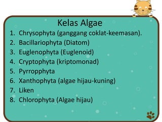 alga diatomae | PPTX