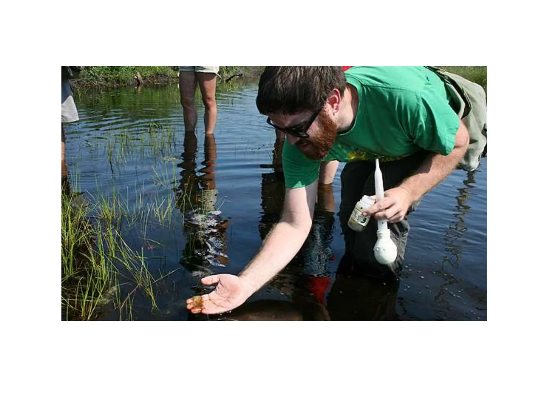 DIATOM EXAMINATION, in forensic science in drowning cases | PPTX