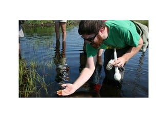 DIATOM EXAMINATION, in forensic science in drowning cases | PPTX