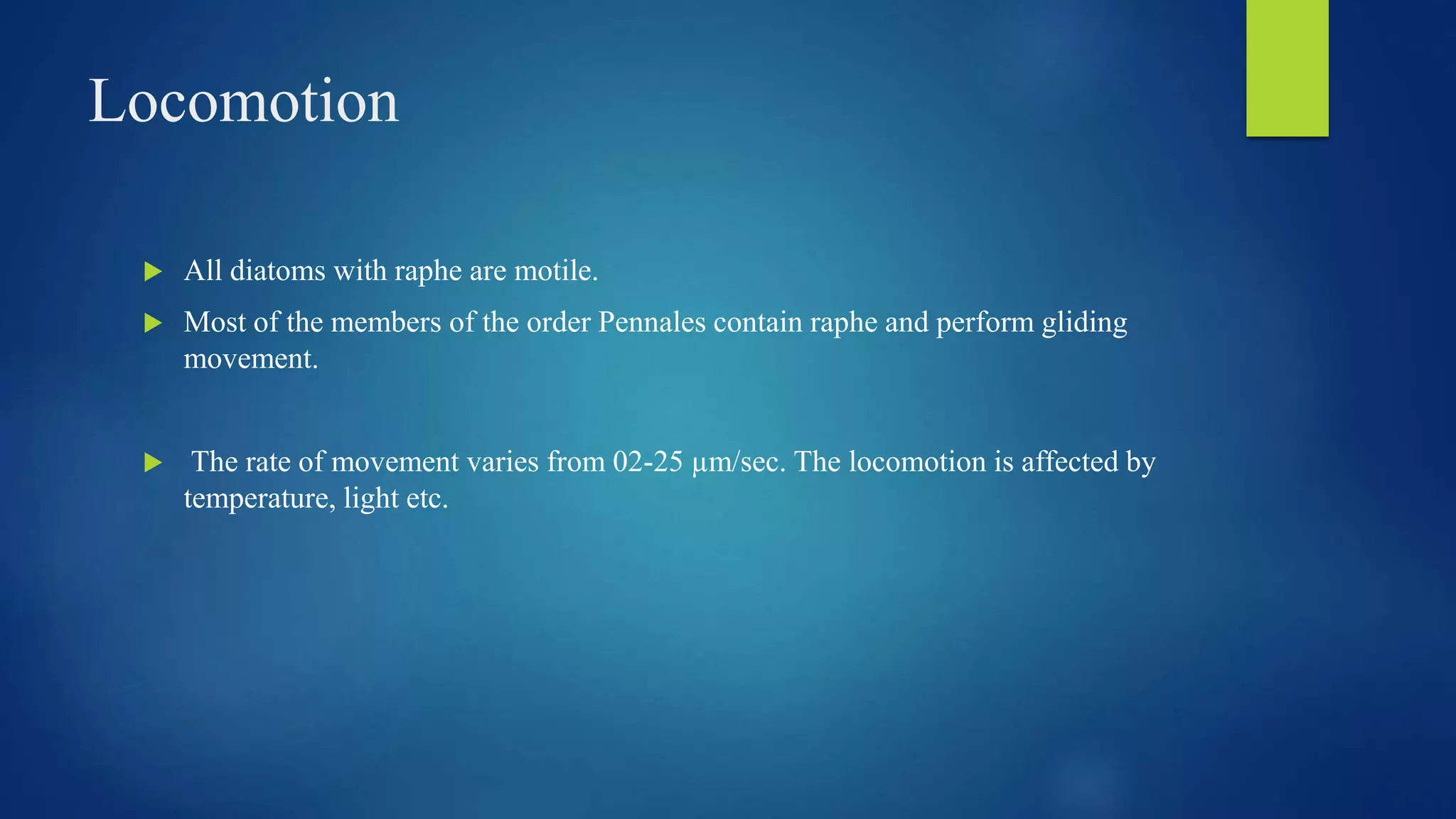 Diatoms | PPTX