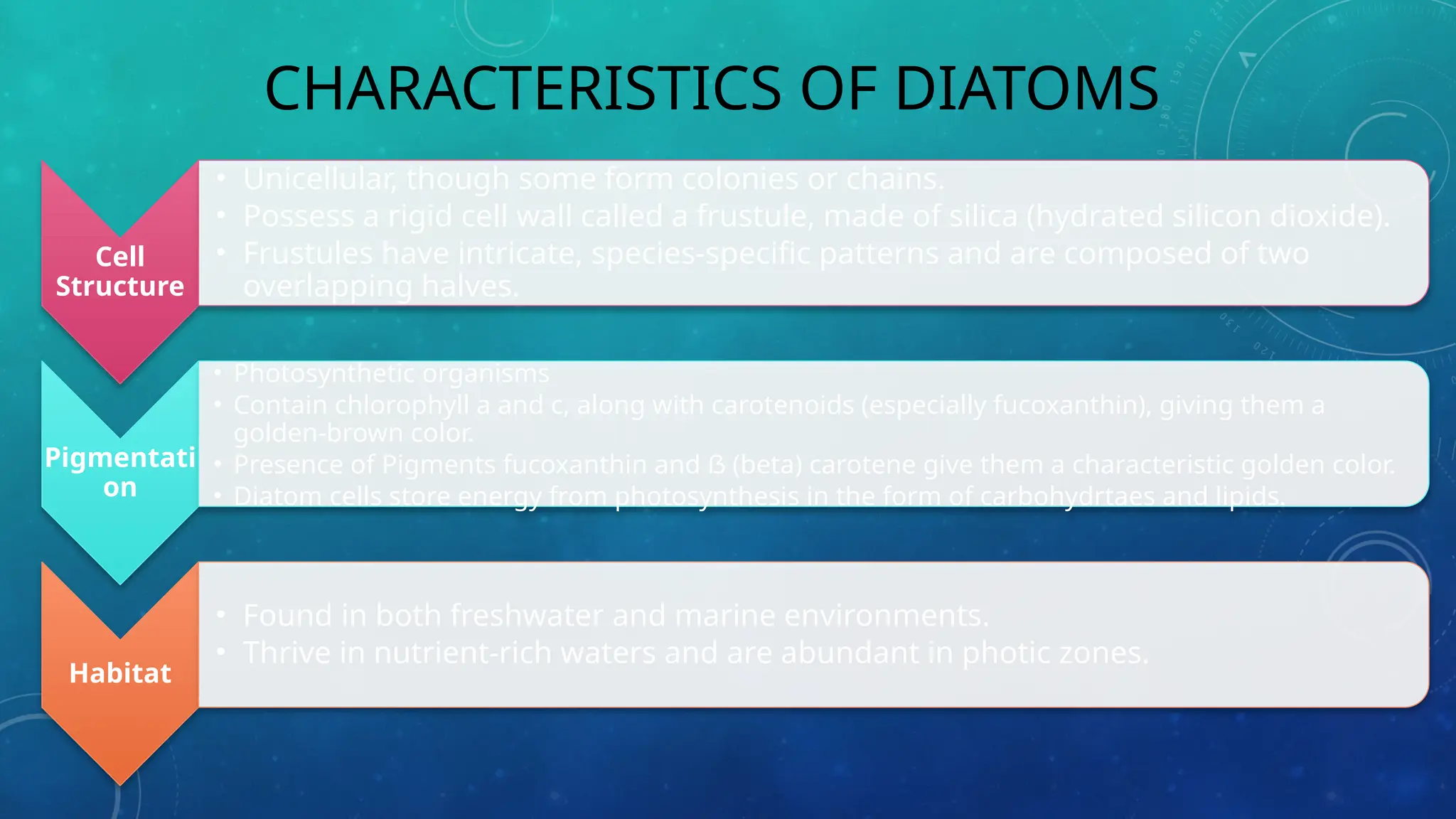 Diatoms - Bacillariophyte and golden algae. | PPTX