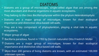 Diatoms - Bacillariophyte and golden algae. | PPT