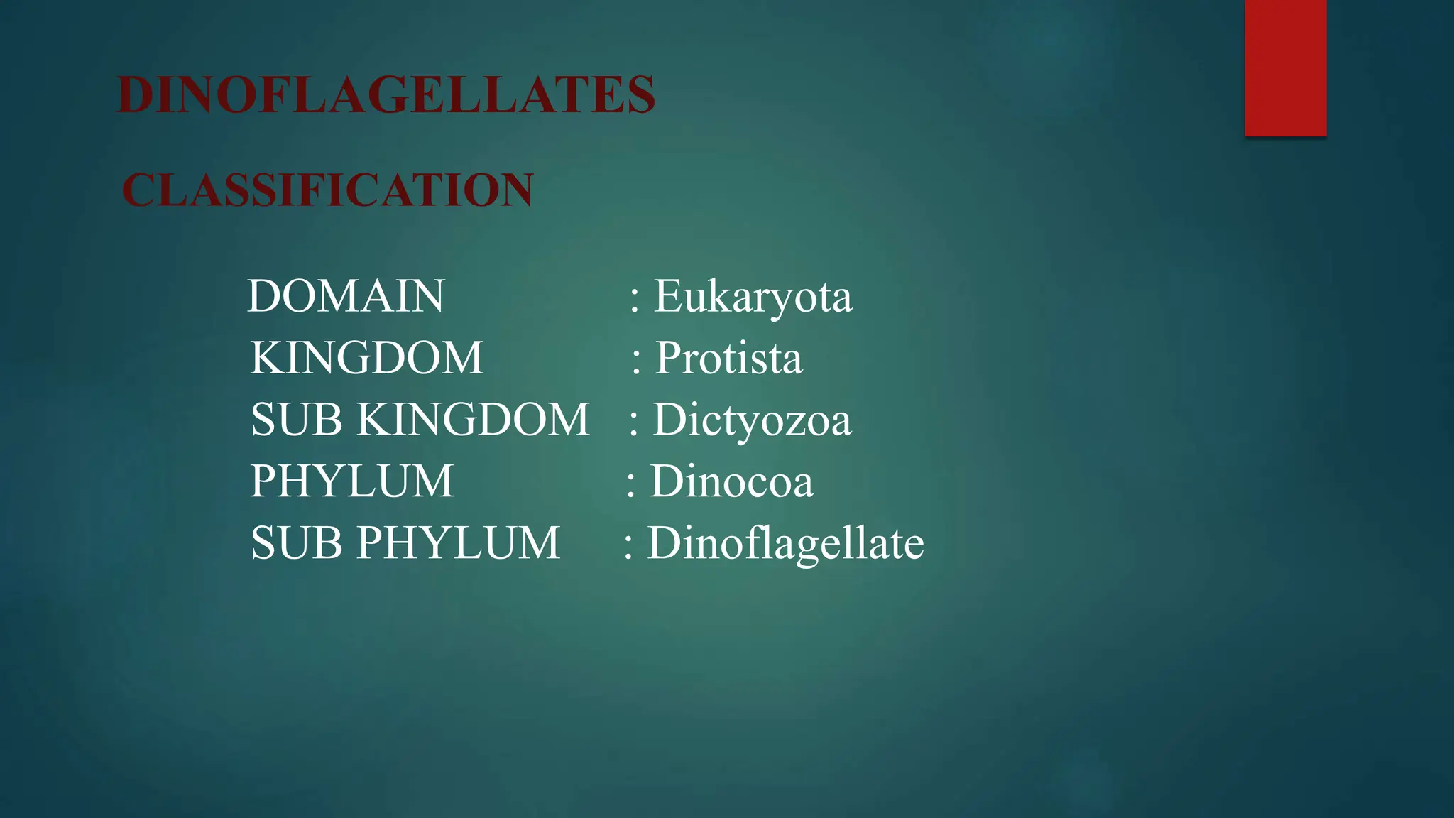 DIATOMS AND DINOFLAGELLATES (CLASSIFICATION, ECOLOGY, APPLICATIONS)pptx ...