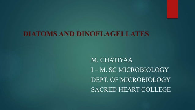 DIATOMS AND DINOFLAGELLATES (CLASSIFICATION, ECOLOGY, APPLICATIONS)pptx ...