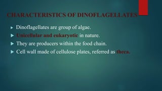 DIATOMS AND DINOFLAGELLATES (CLASSIFICATION, ECOLOGY, APPLICATIONS)pptx ...