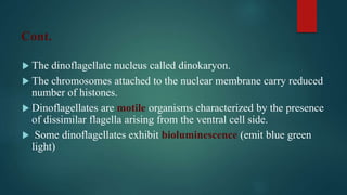 DIATOMS AND DINOFLAGELLATES (CLASSIFICATION, ECOLOGY, APPLICATIONS)pptx ...