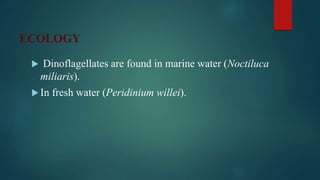 DIATOMS AND DINOFLAGELLATES (CLASSIFICATION, ECOLOGY, APPLICATIONS)pptx ...