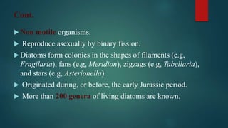 DIATOMS AND DINOFLAGELLATES (CLASSIFICATION, ECOLOGY, APPLICATIONS)pptx ...
