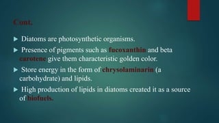 DIATOMS AND DINOFLAGELLATES (CLASSIFICATION, ECOLOGY, APPLICATIONS)pptx ...