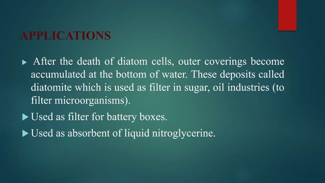 DIATOMS AND DINOFLAGELLATES (CLASSIFICATION, ECOLOGY, APPLICATIONS)pptx ...