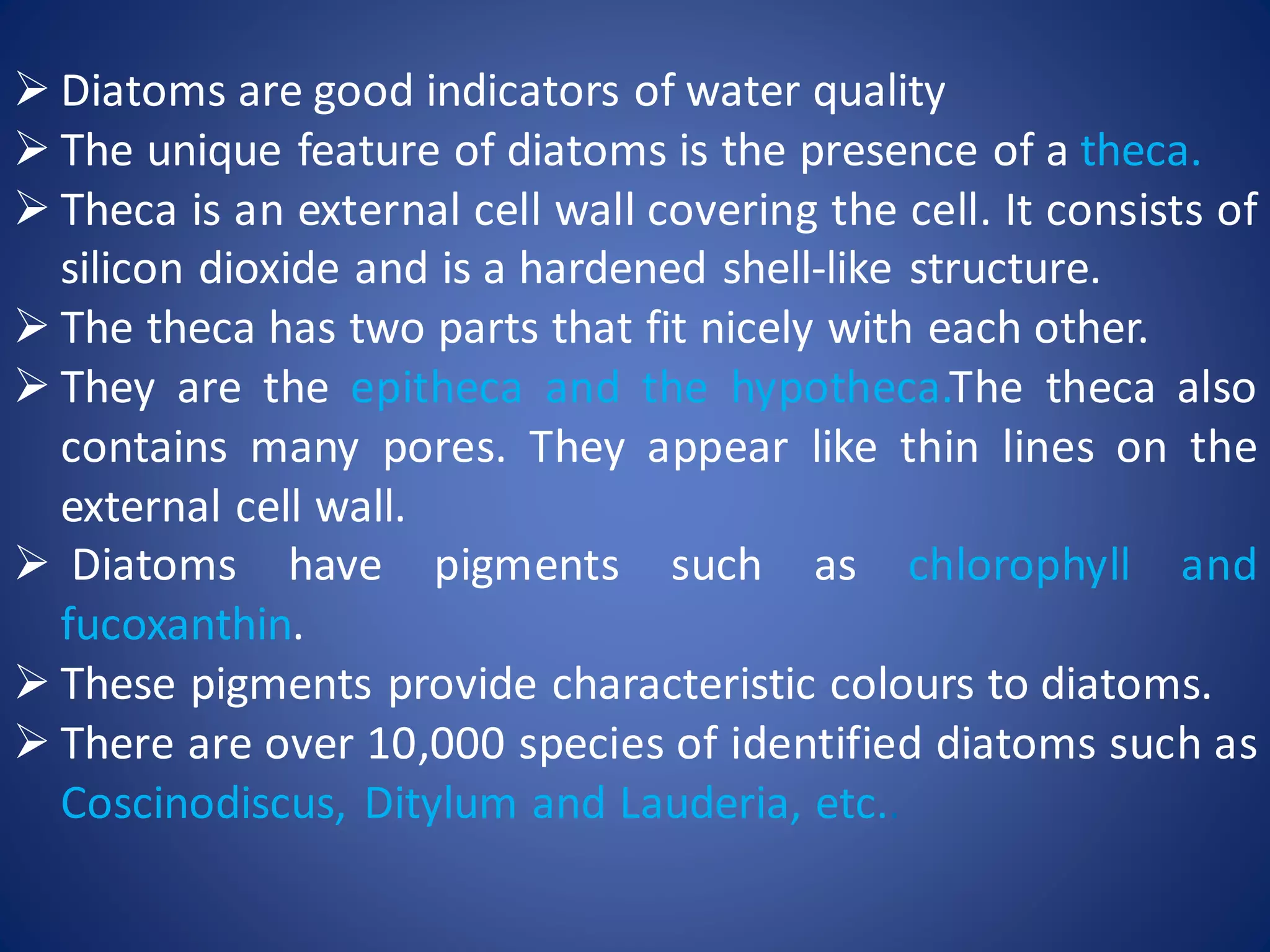 DIATOMS AND DINOFLAGELLATES BP221508.pdf
