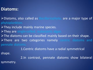 DIATOMS AND DINOFLAGELLATES BP221508.pdf